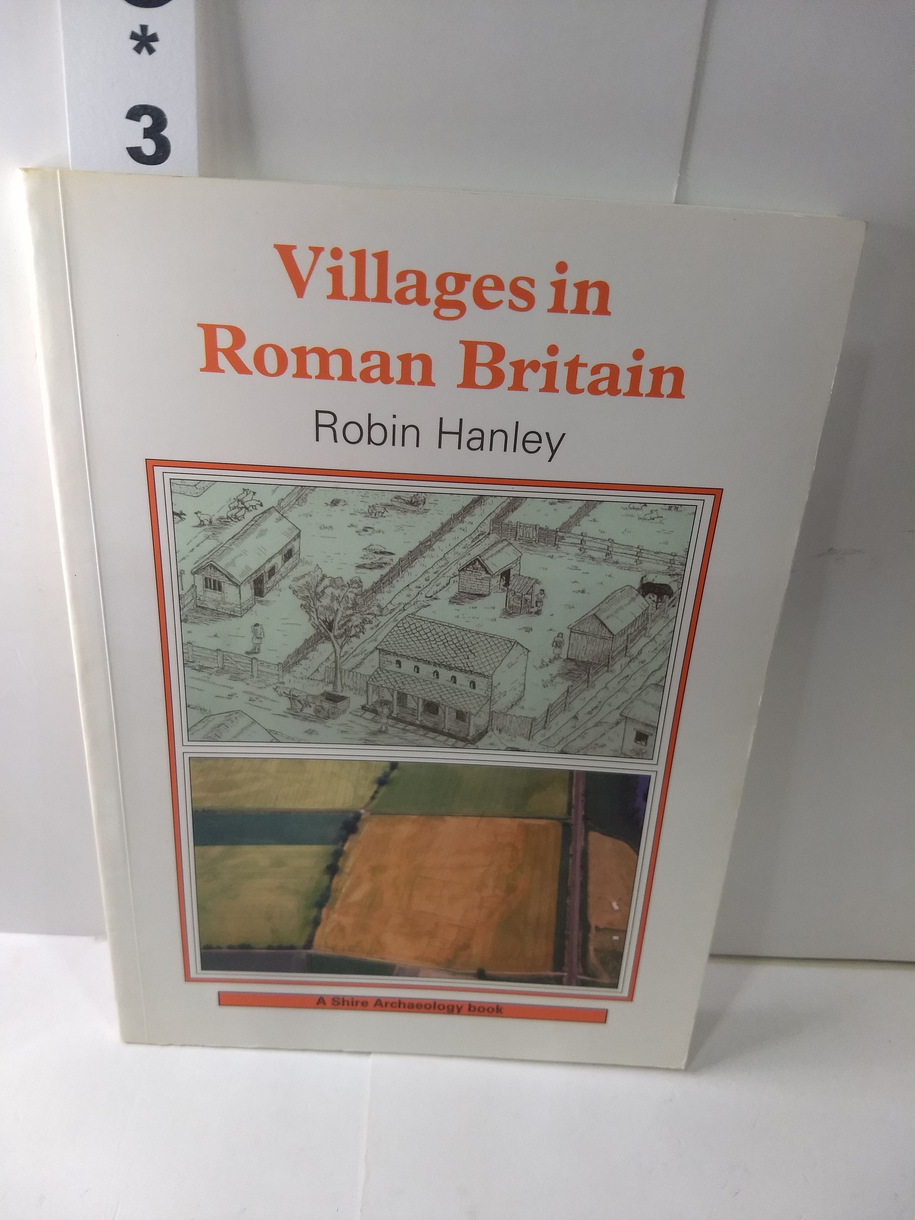 Villages in Roman Britain (Shire Archaeology)