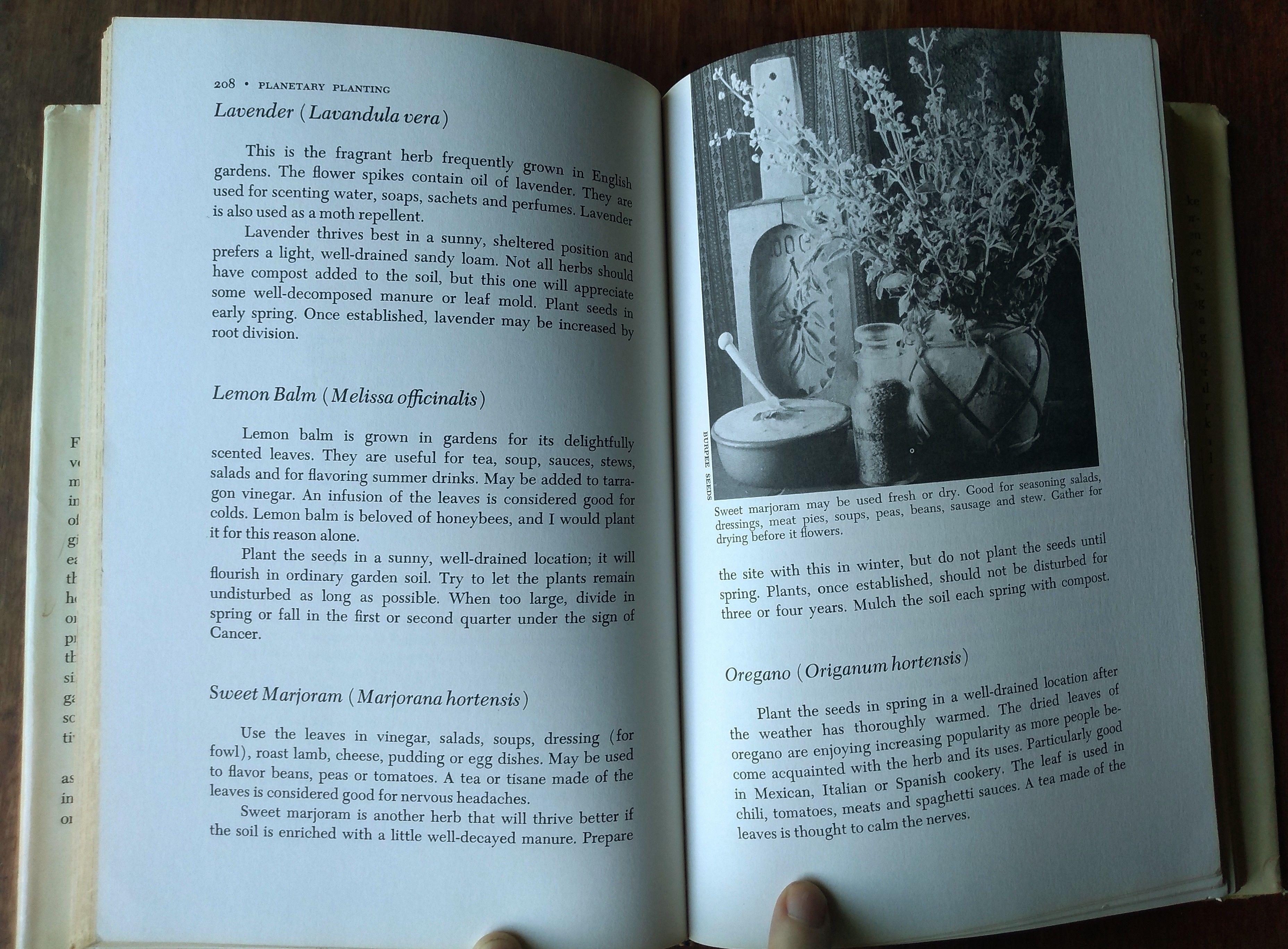 Zodiac signs planting guide 60 photos - Youhoroscope.com