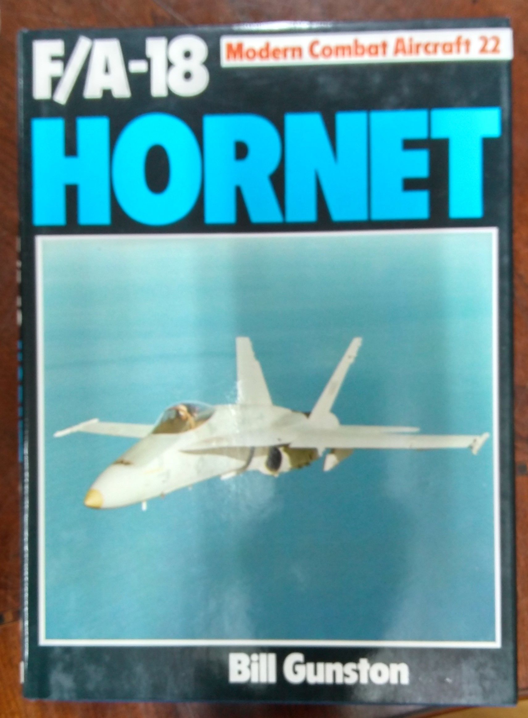 F-18 Hornet (Modern Combat Aircraft)