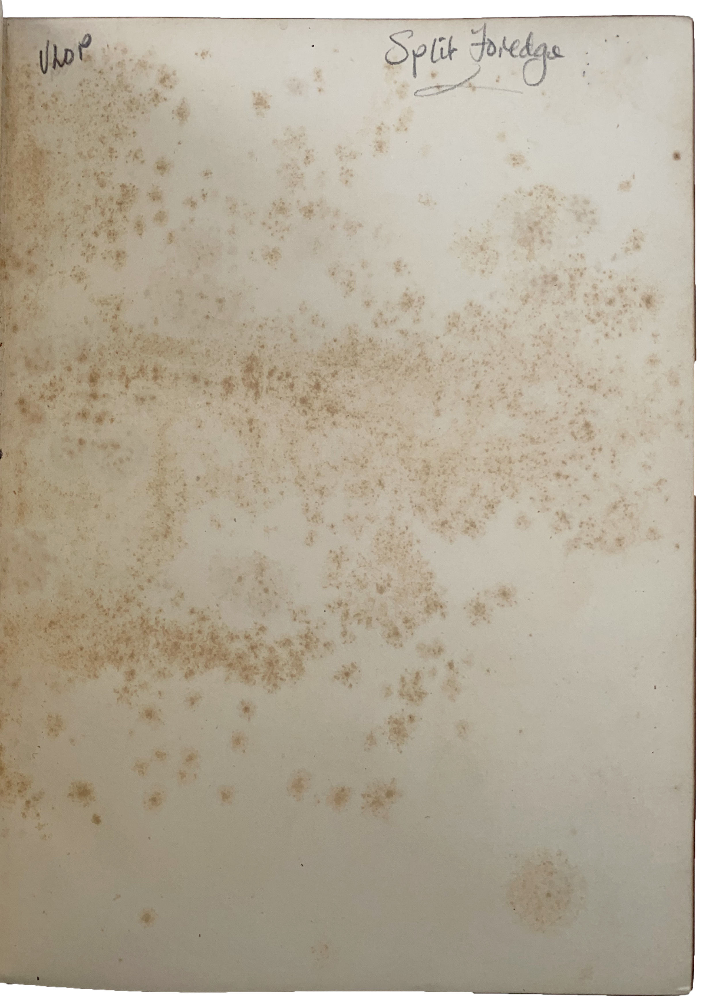 The Poetical Works of Henry Wadsworth Longfellow. Illustrated with one ...