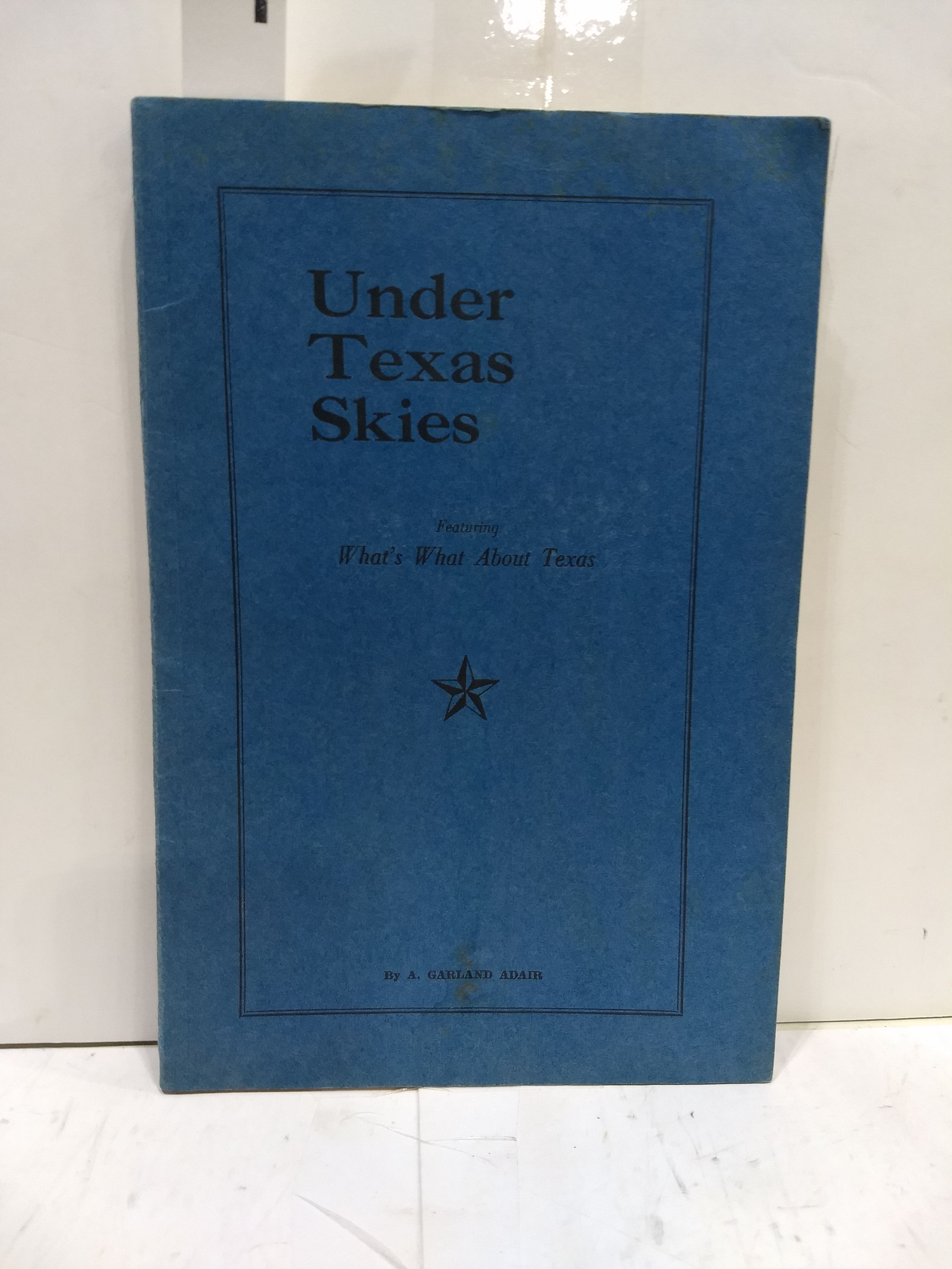Chihuahua Al Pacific: A Dream Come True