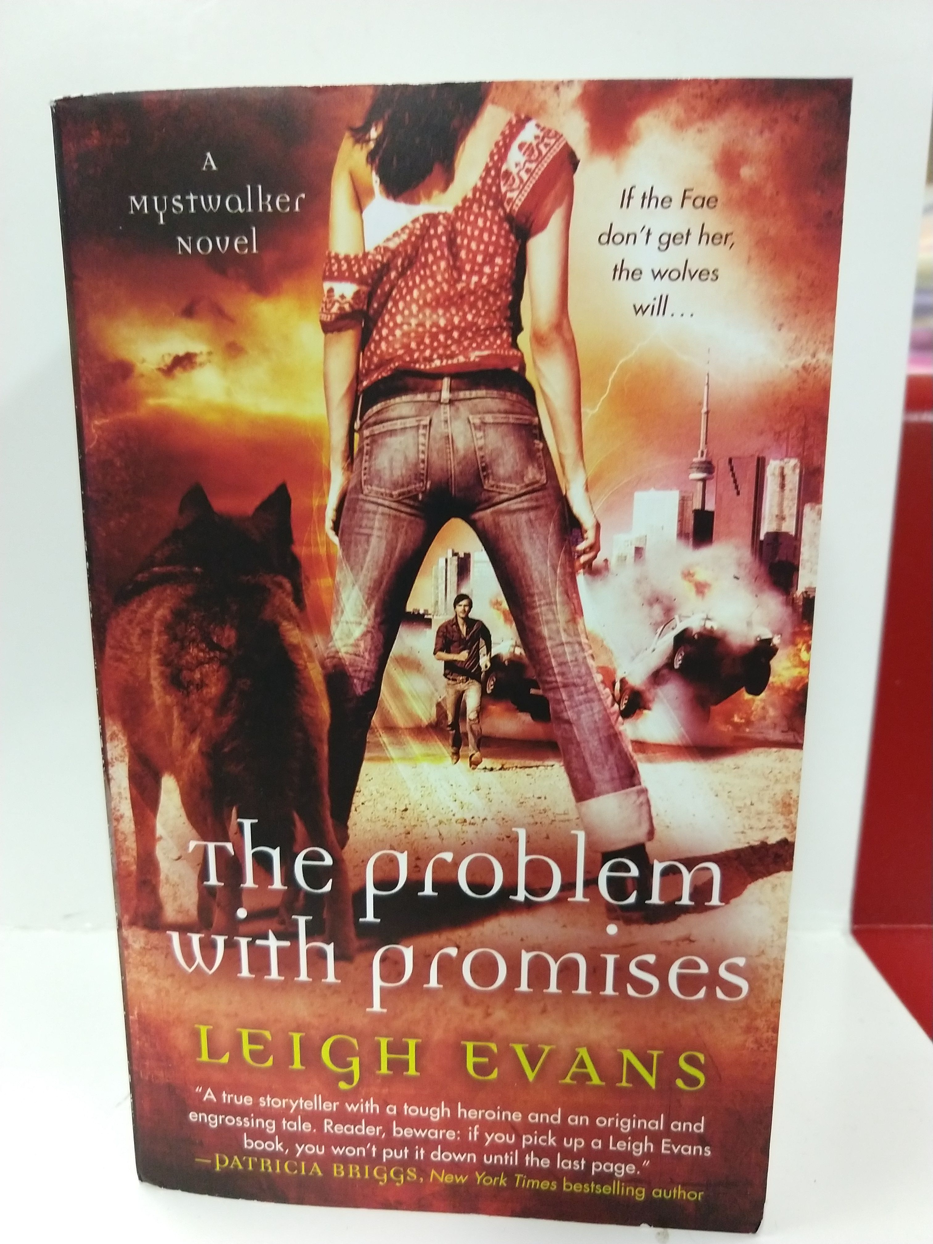 The Problem With Promises: A Mystwalker Novel