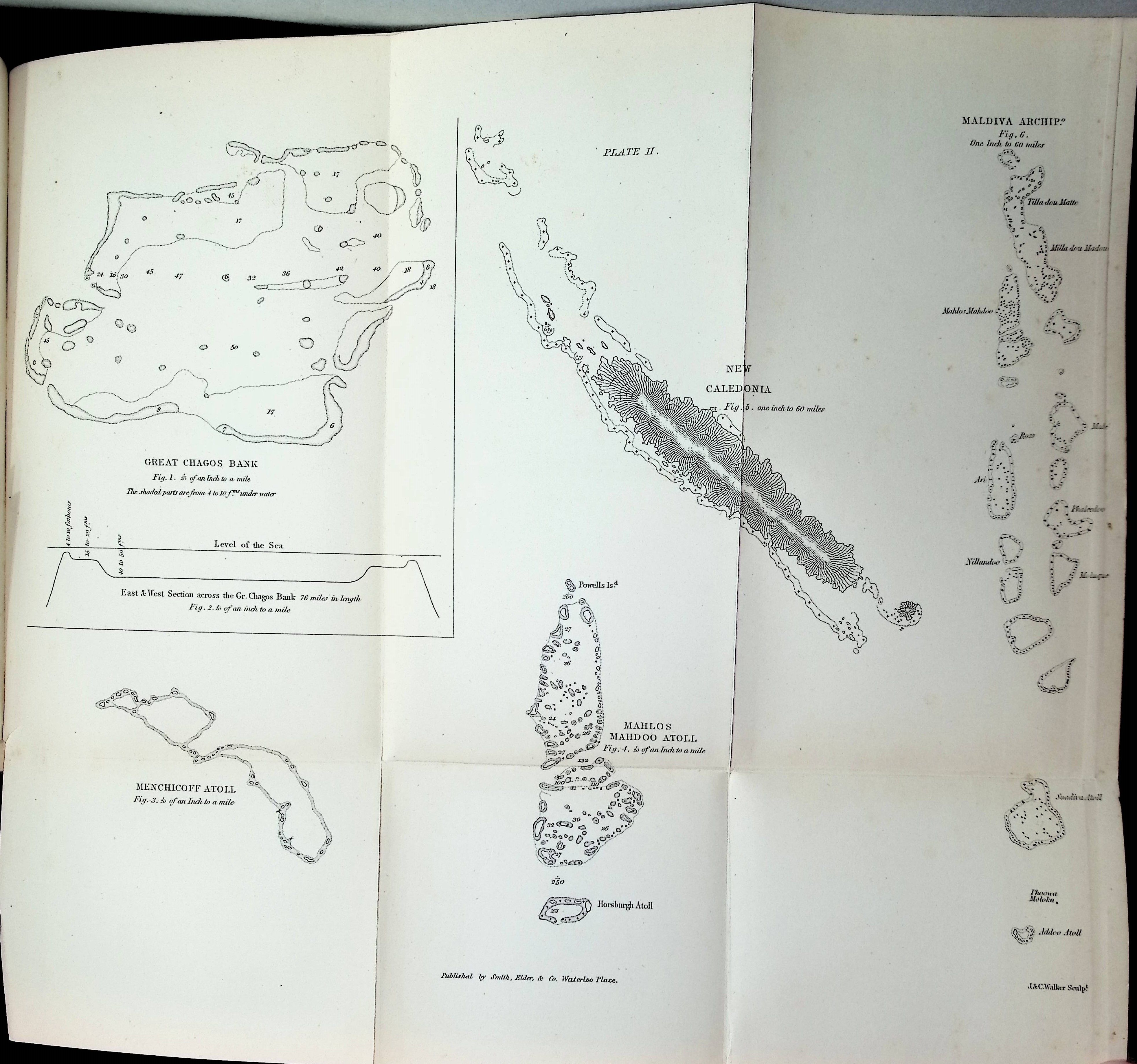 The Structure and Distribution of Coral Reefs