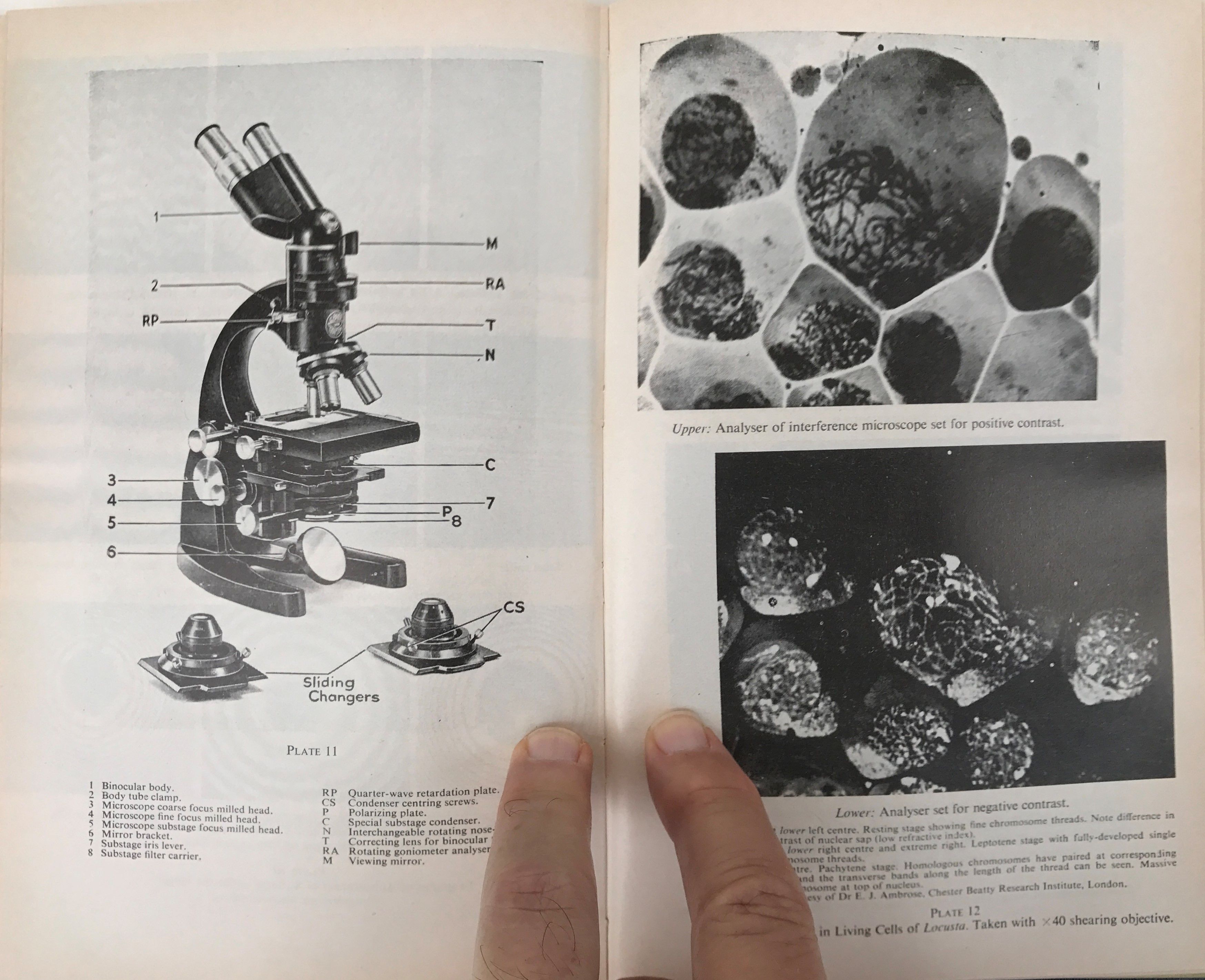 Microscope Technique: a comprehensive handbook for general and applied microscopy.