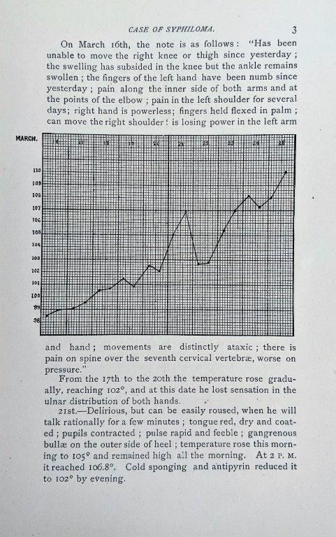 Case of Syphiloma of the Cord of the Cauda Equinaâ Death from Diffuse ...