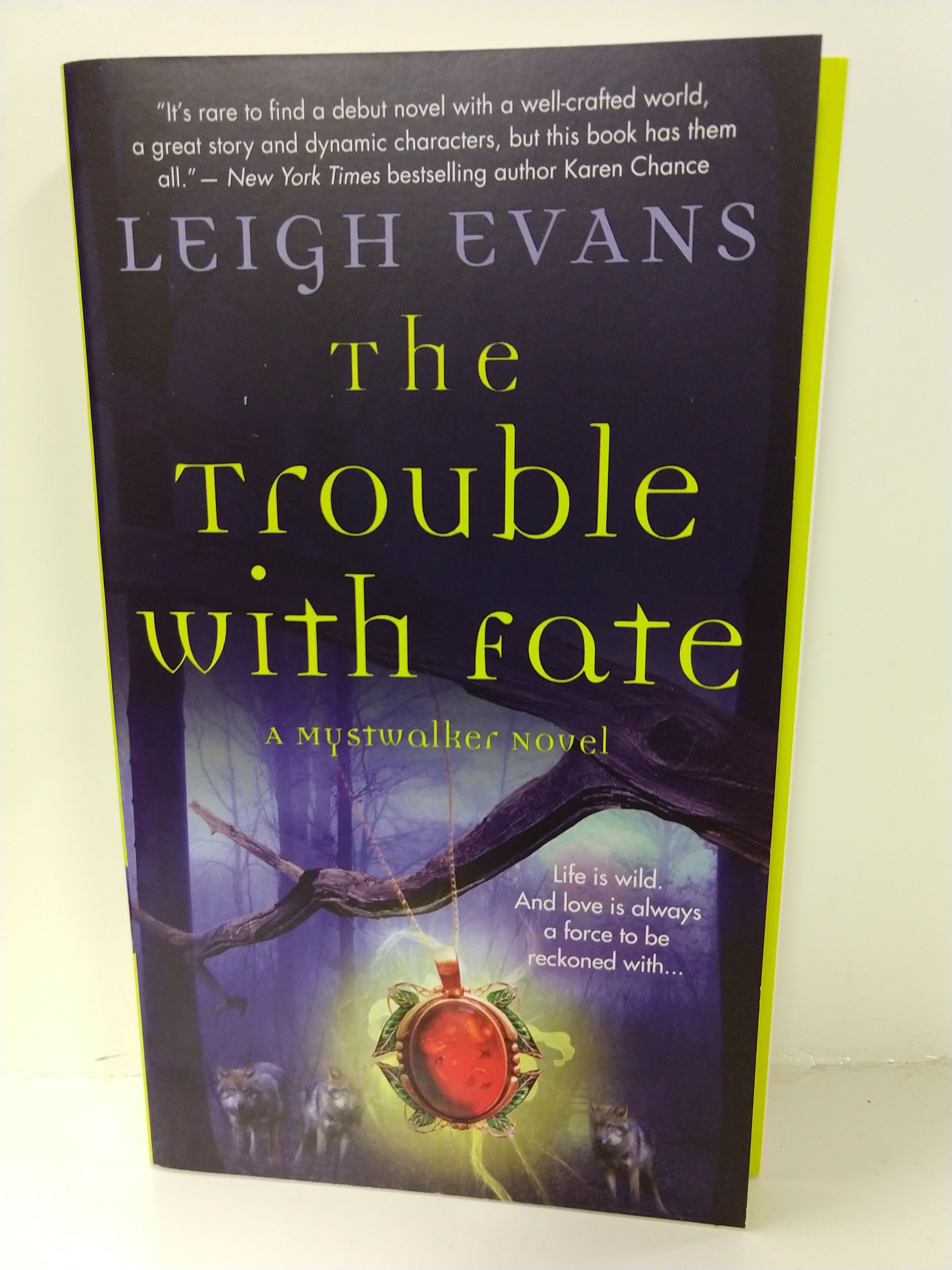 The Problem With Promises: A Mystwalker Novel