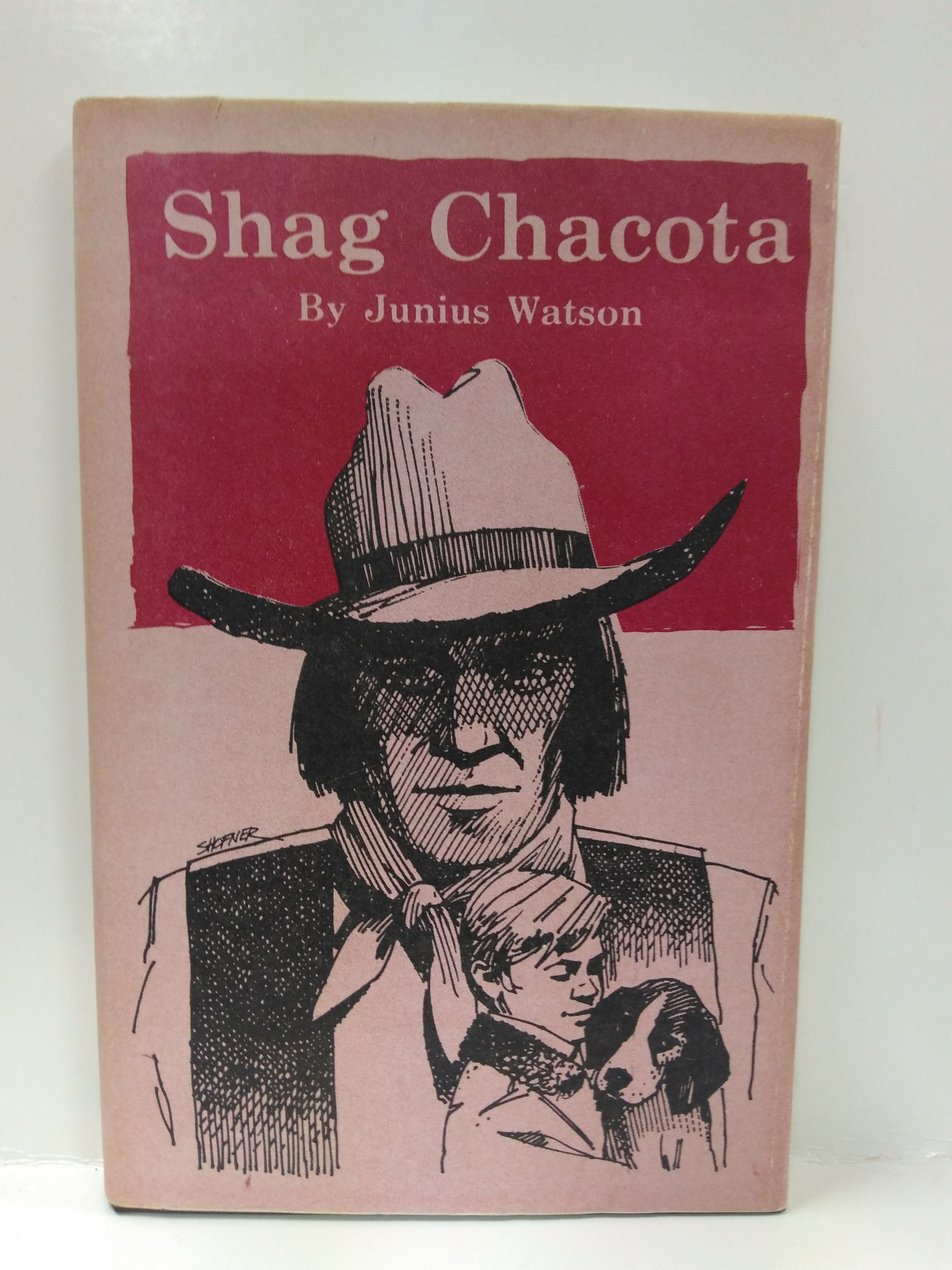 Dive Bomber: Learning To Fly The Navy's Fighting Planes